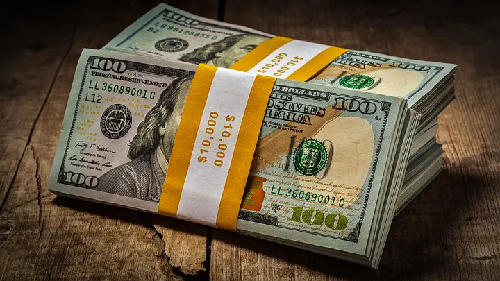 FPIs Turn Net Sellers After Two Days, Offload Rs 5,100 Crore