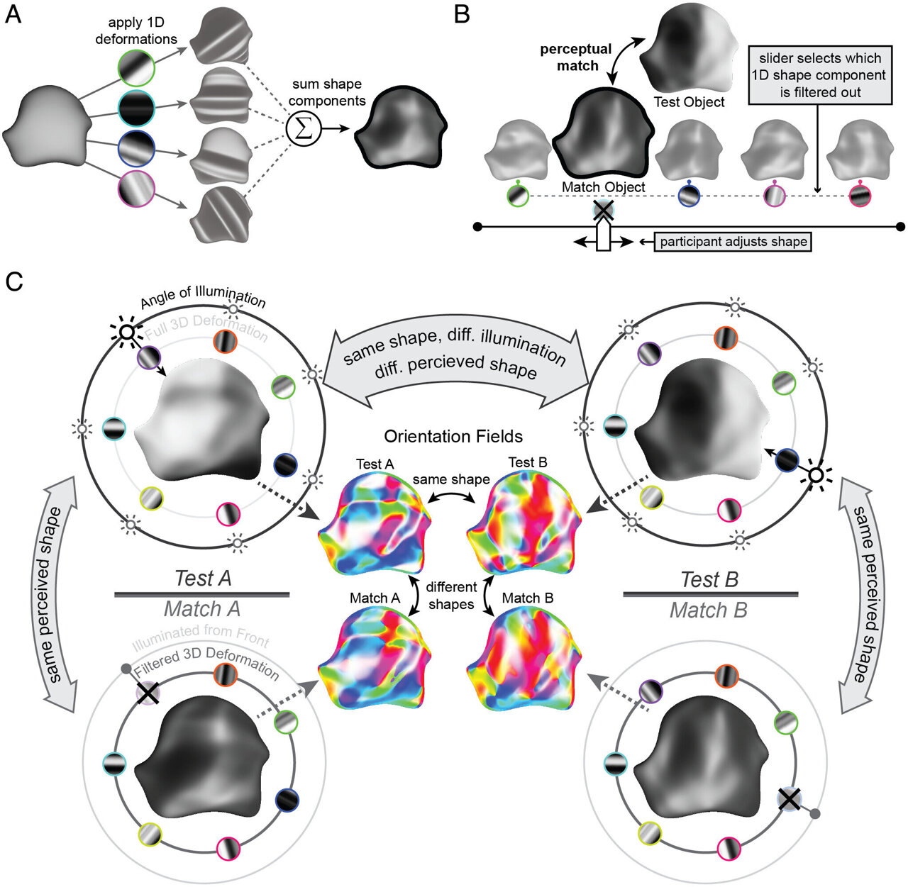 'Weird shading' tricks the brain into seeing 3D forms from simple lines