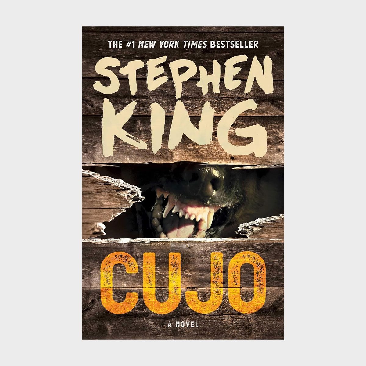 25 best Stephen King books, ranked
