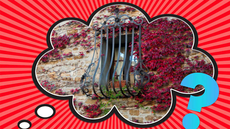 Why Are the Metal Bars on Some Windows Curved?