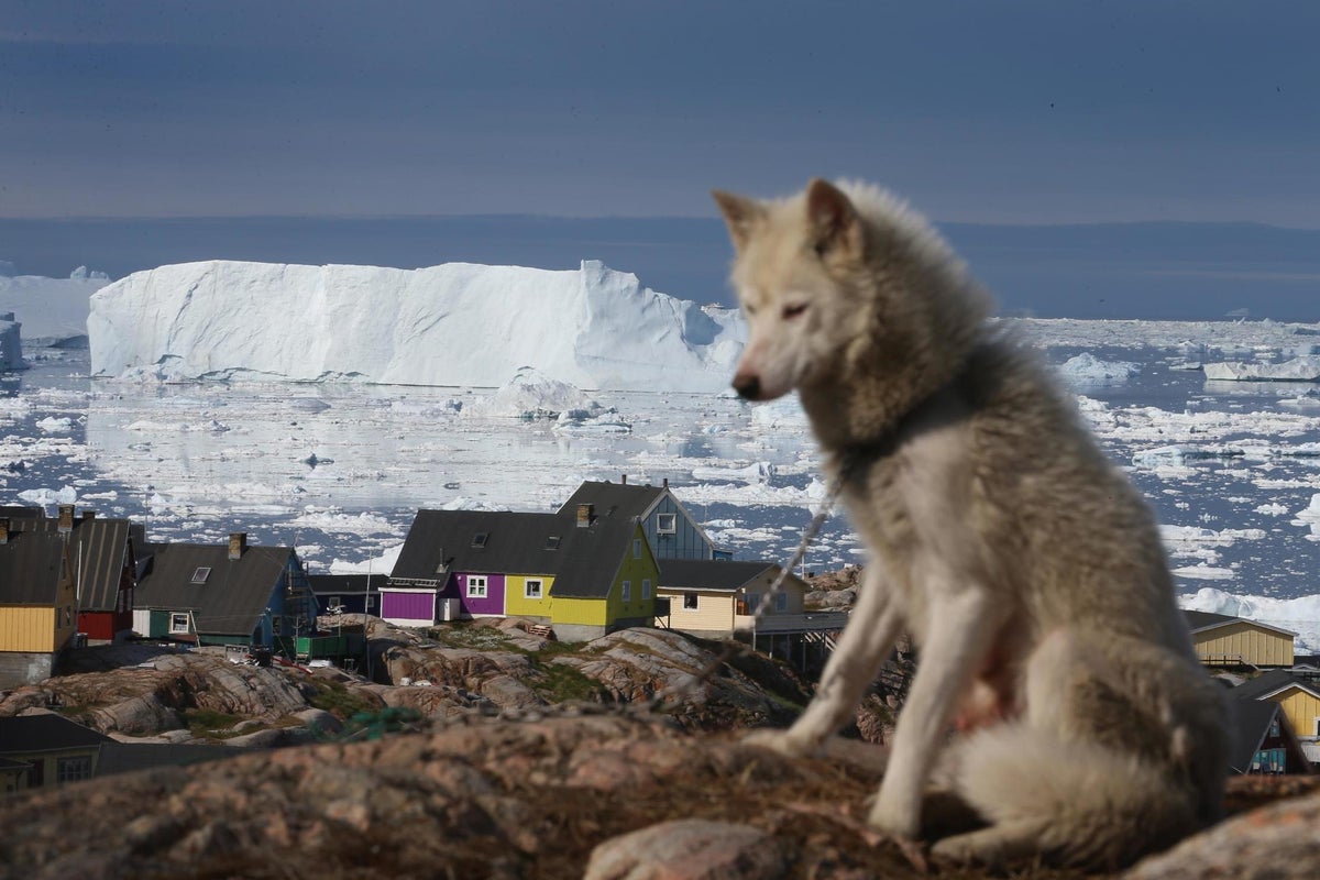 Scientists find home of oldest known domesticated dog breed