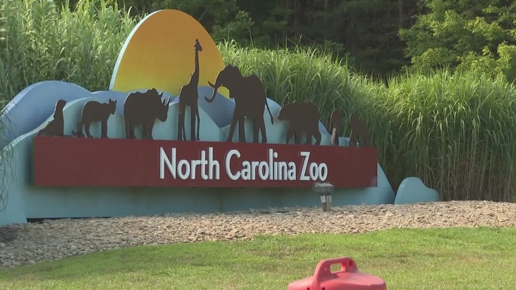 North Carolina Zoo announces ticket price changes for first time in 10 ...