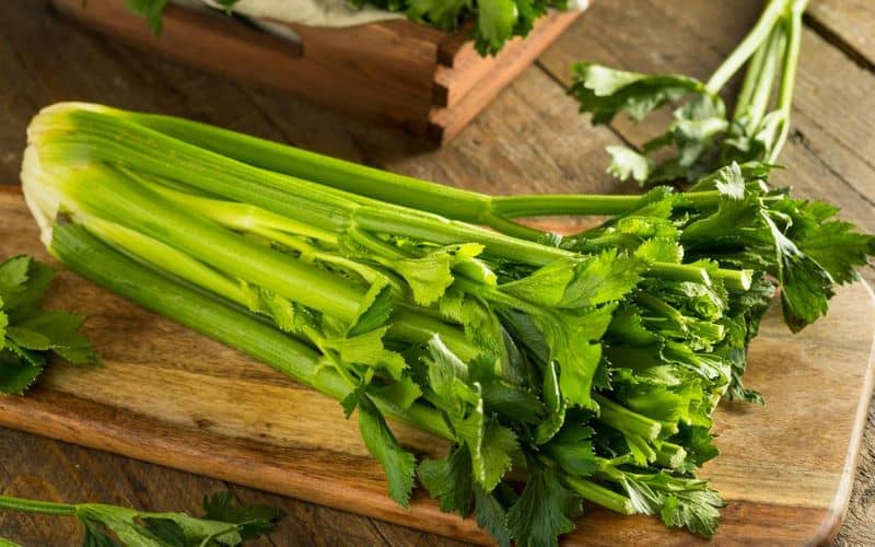 18 Foods You Can Eat Without Gaining Weight And 4 That Fire Up Your ...