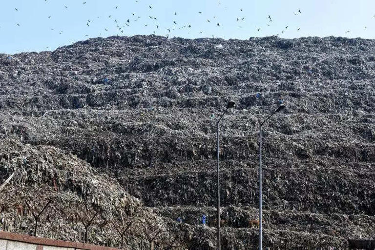 MCD updates NGT on Ghazipur landfill clean-up; Targets full reclamation ...