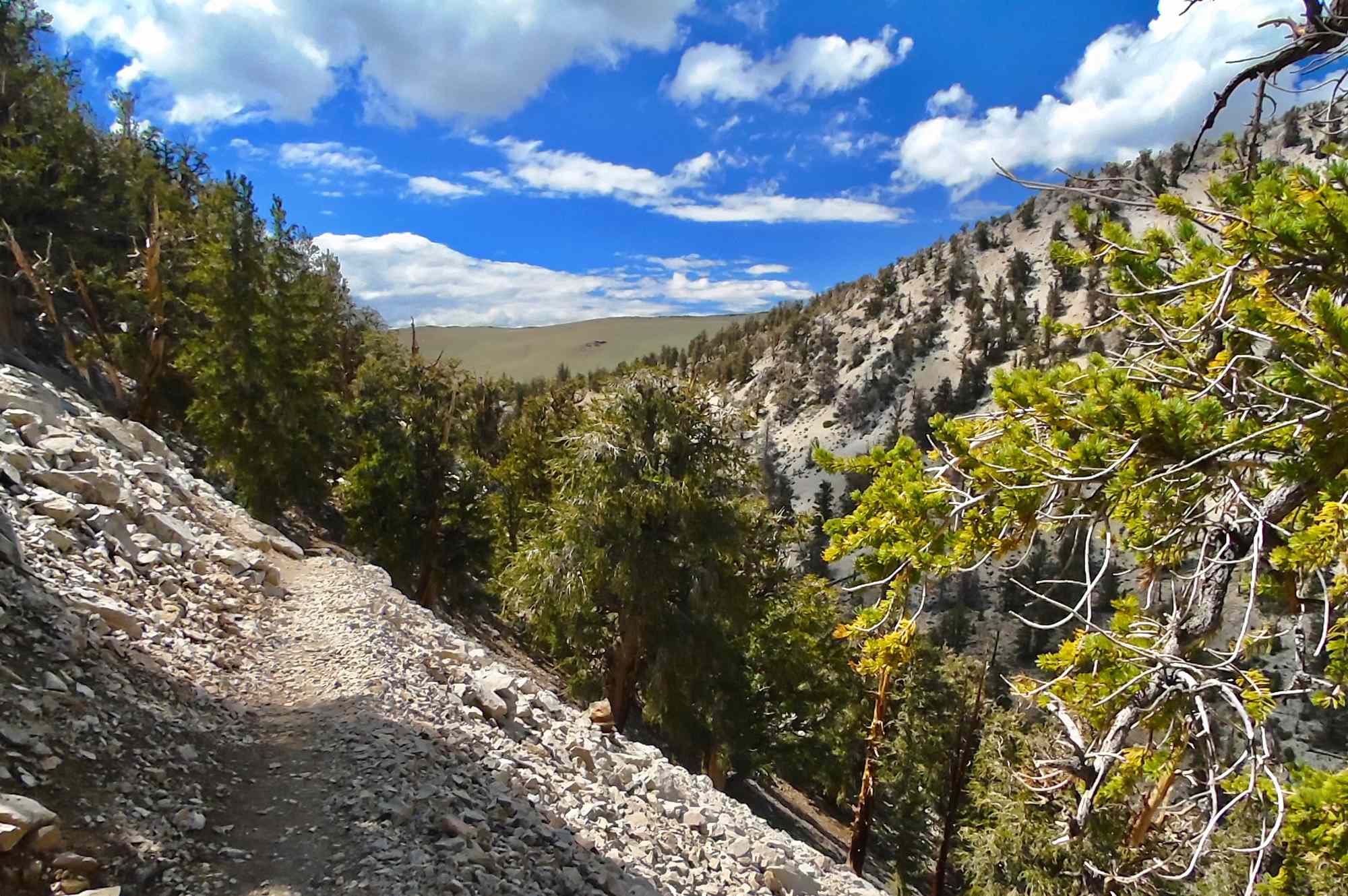 This 2-hour U.S. Trail Was Named One of the Best Hikes in the World—and ...