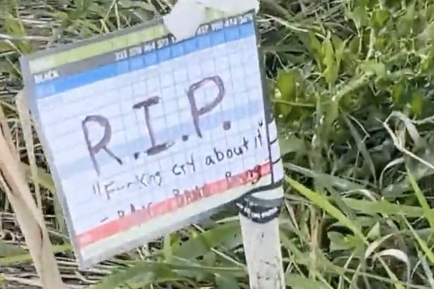 A hilarious memorial has been erected at the site of the viral fight ...