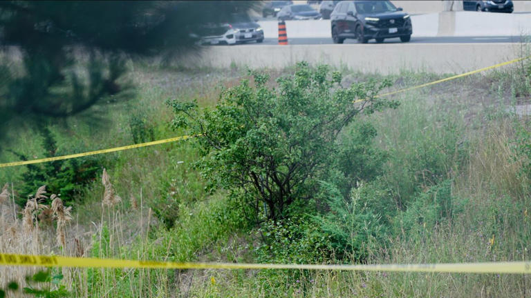 Woman found dead off Highway 401 was reported missing in Toronto, man ...