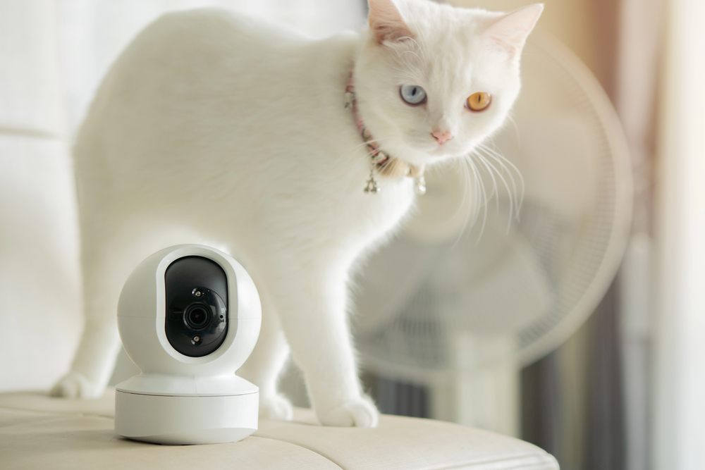 15 Pet Tech Gadgets Worth the Investment