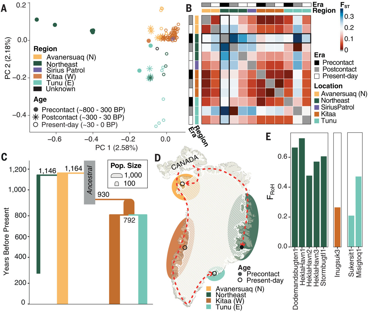 Sled dog genetic history sheds light on human migration patterns into ...
