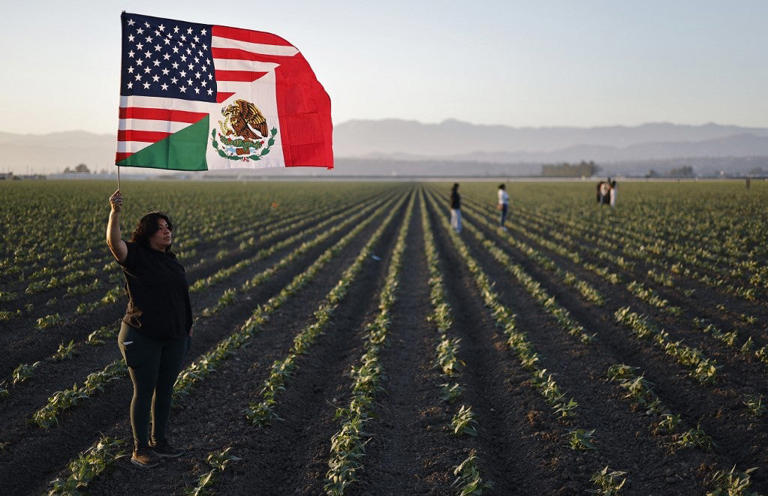 People Over Papers: El mapa que rastrea redadas del ICE a lo largo de EU