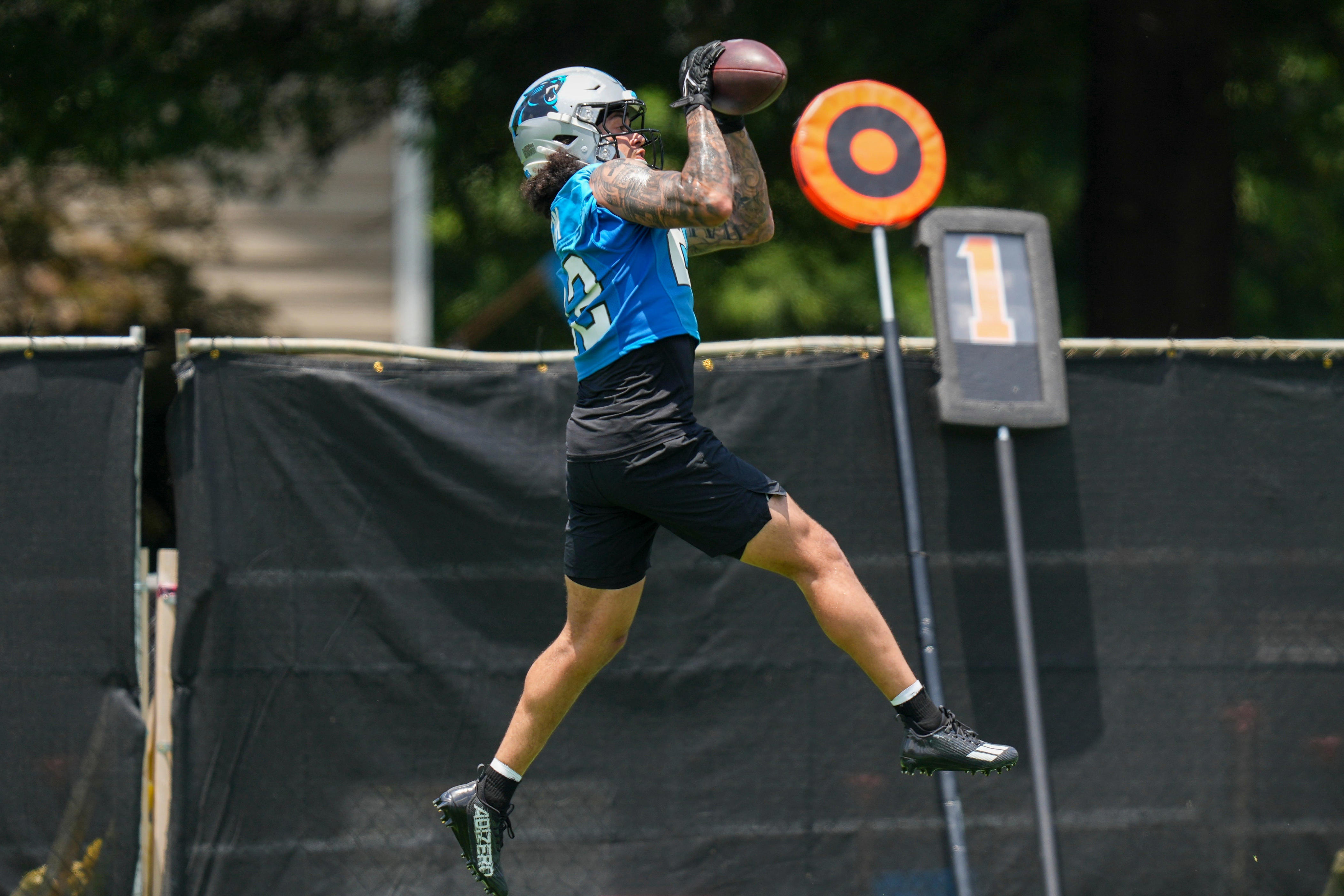 Ranking Panthers rookies by potential impact for the 2025 season