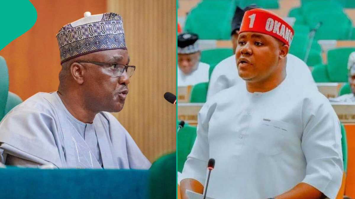 Tax laws: Why minority caucus report on alleged alterations is no ...