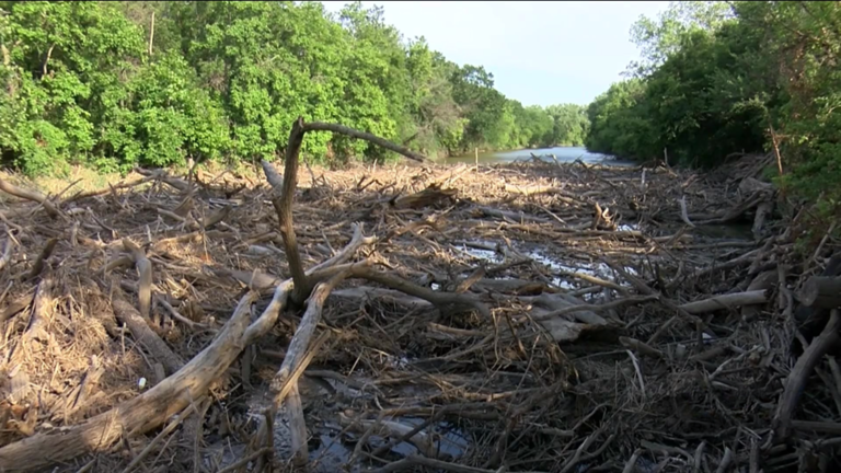 Salina faces high cost to clear log jam after June flooding