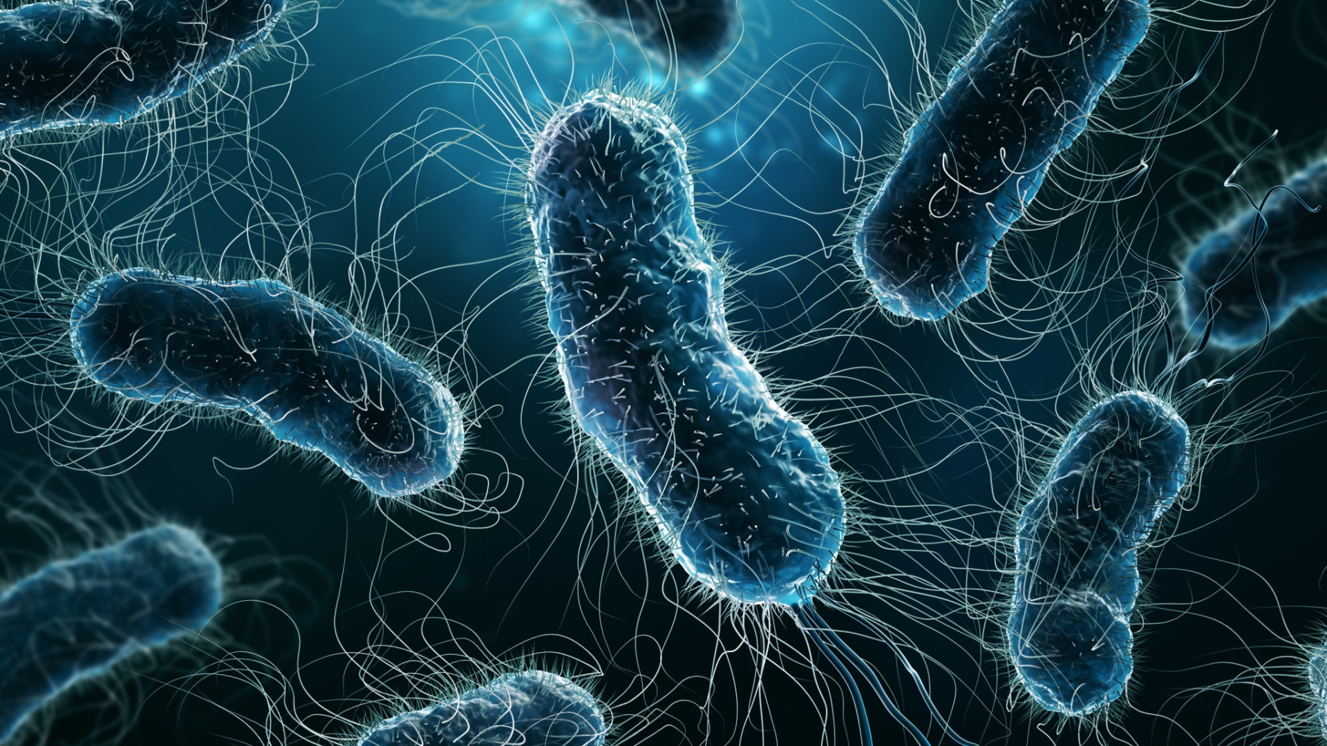 This bacteria could cause millions of cancer cases