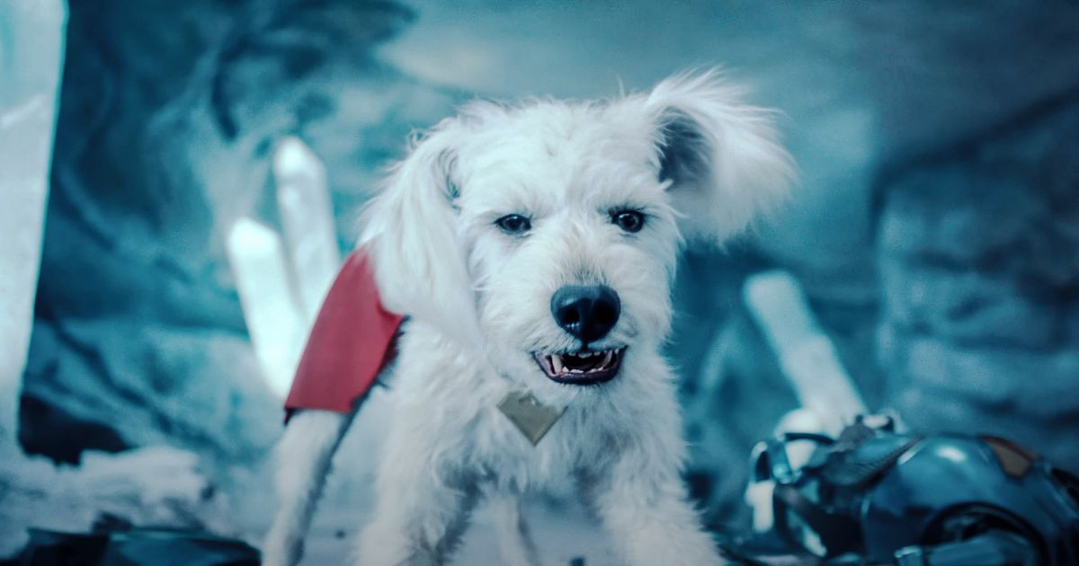 James Gunn’s Real Dog Made Superman’s Krypto Paw-sible