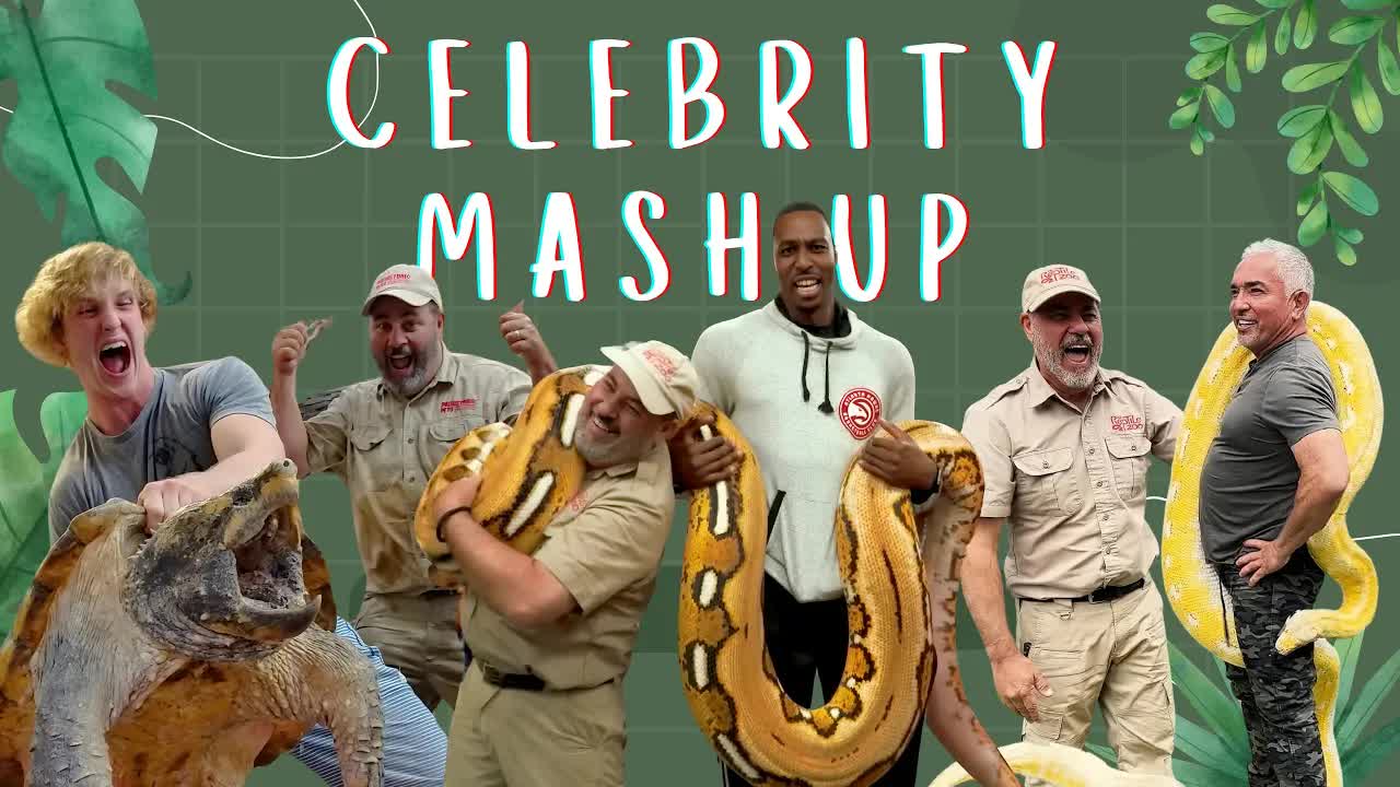 Special Guest Face-to-Face with My WILDEST Reptiles!