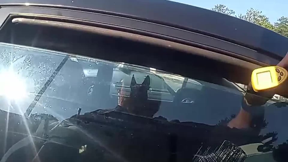 Marietta police record 125 degrees inside car with dogs