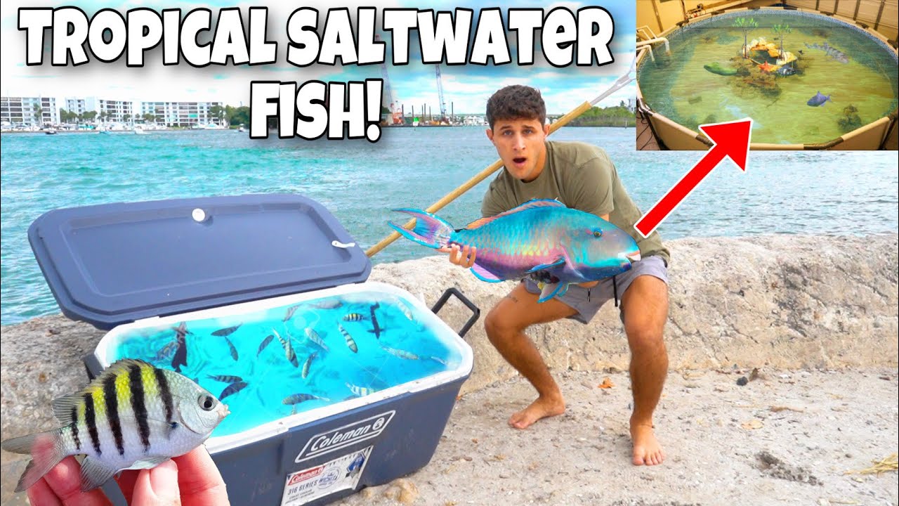 Catching TROPICAL COLORFUL FISH For My Saltwater POND!!