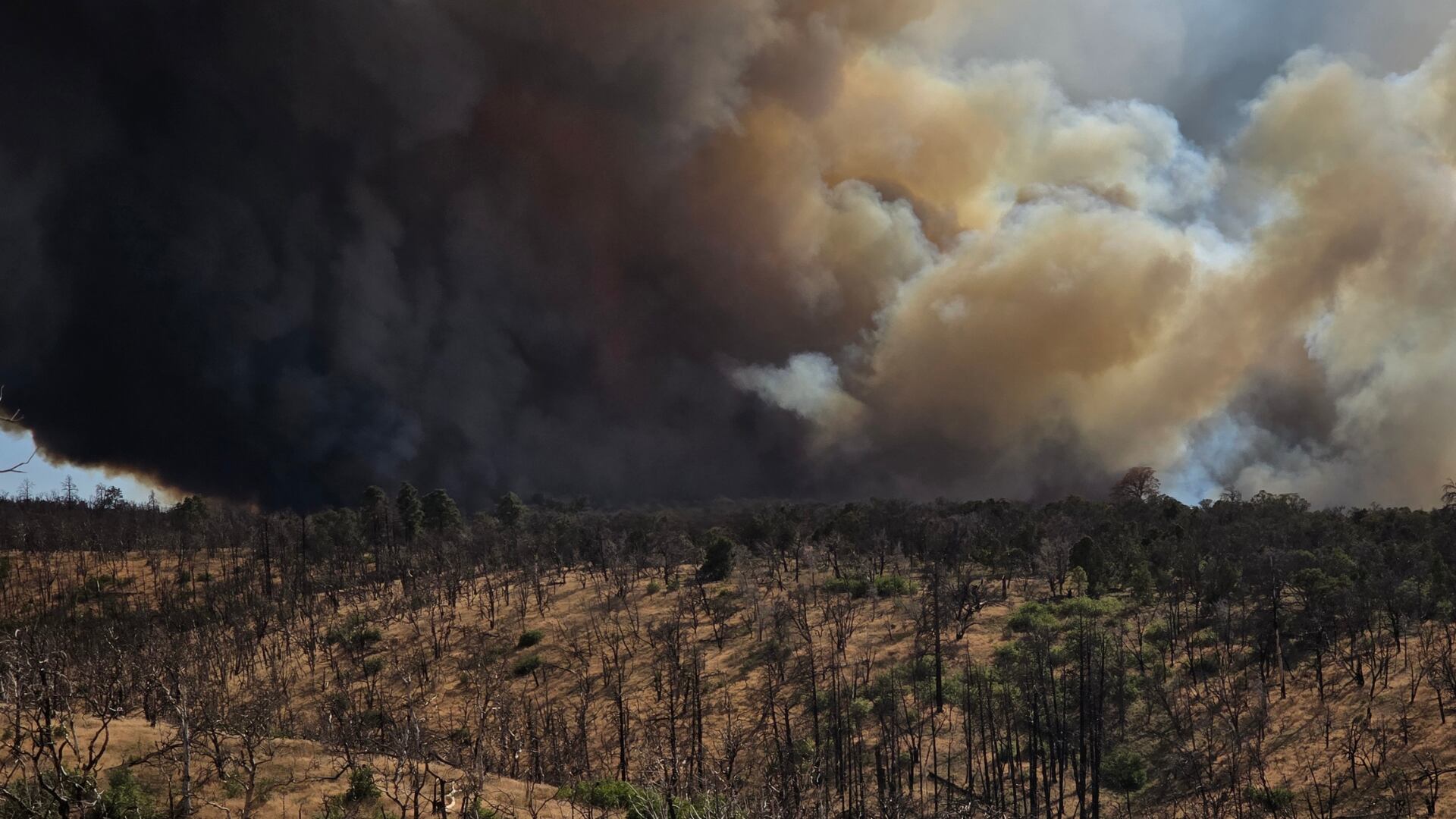 White Sage Fire forces evacuations of Grand Canyon’s North Rim, Jacob Lake