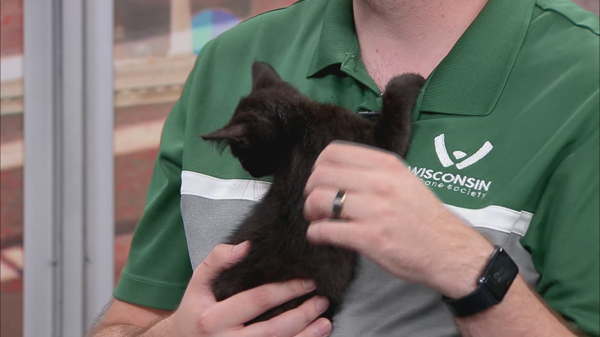 Pet Saver: Bowser