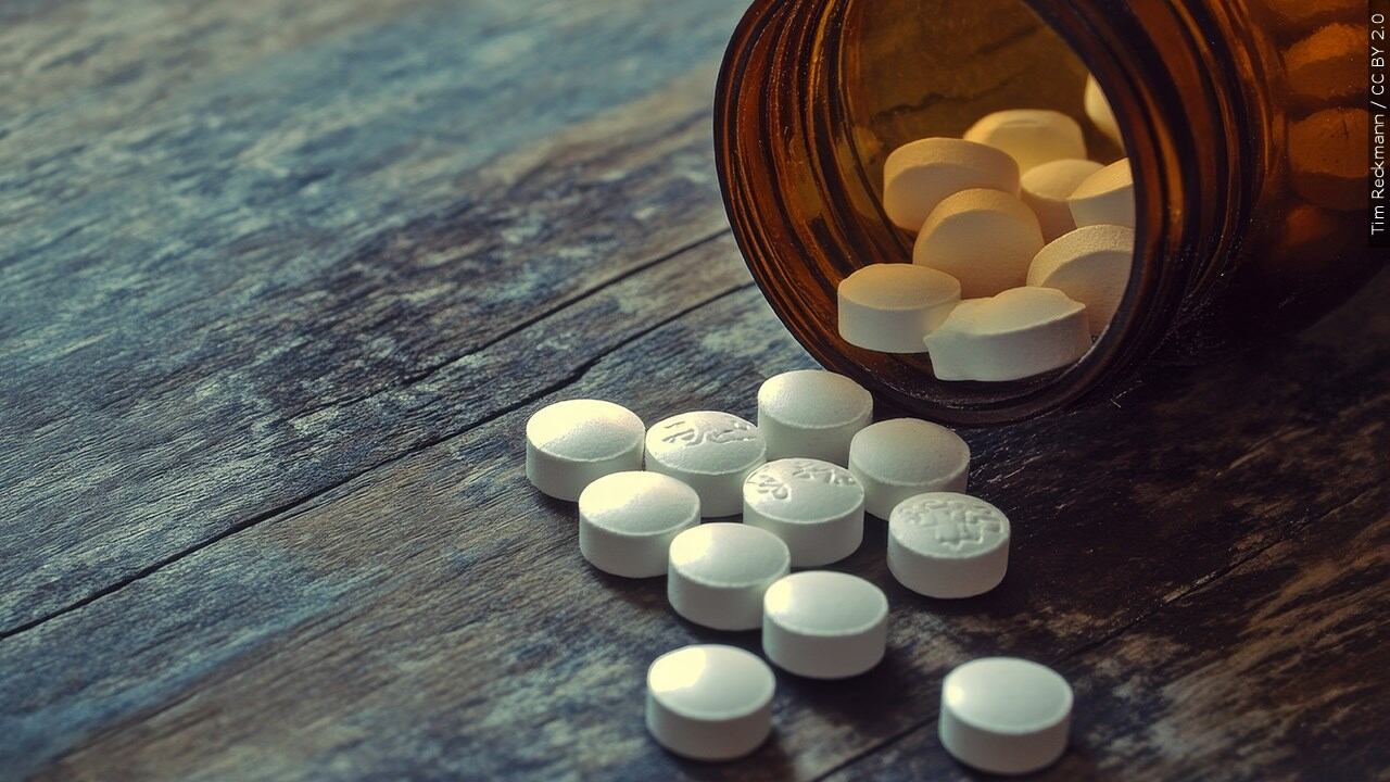 Physician pleads guilty to over prescribing opioids, two patients died ...