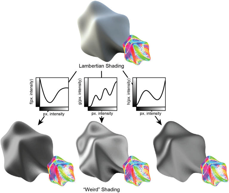 'Weird shading' tricks the brain into seeing 3D forms from simple lines