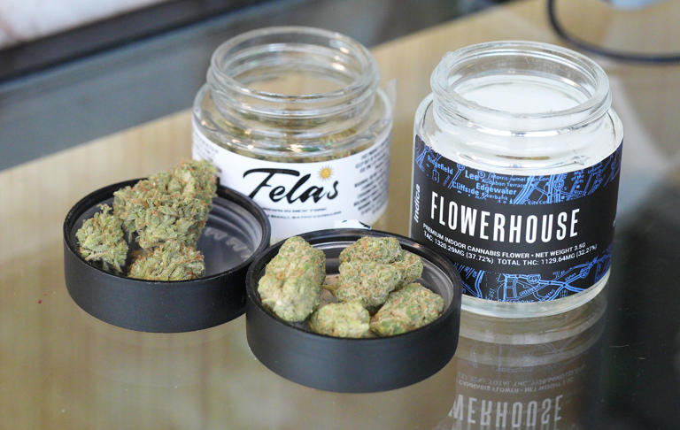 24 states have legalized recreational marijuana. Is Alabama one of them?