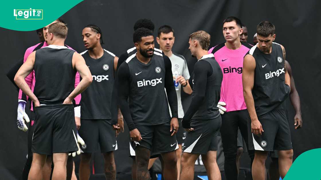 Mysterious cat predicts winner of 2025 FIFA Club World Cup final ...