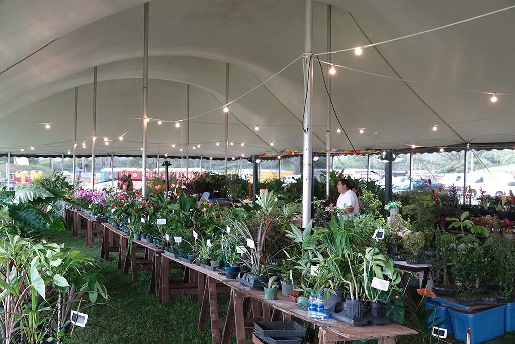 59th annual Hawaii State Farm Fair returns this weekend with new ...