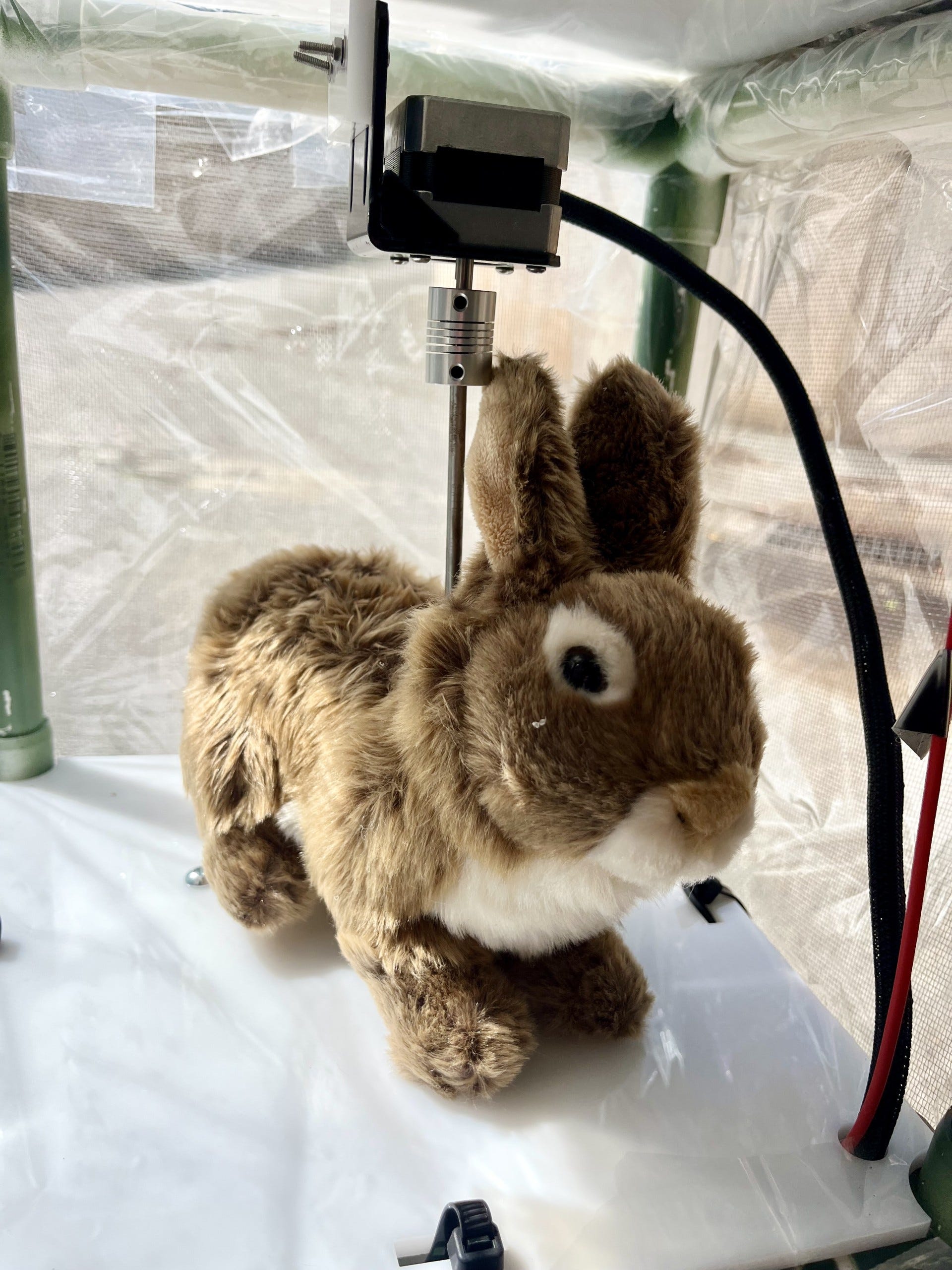 UF researchers deploy robotic rabbits across South Florida to fight ...