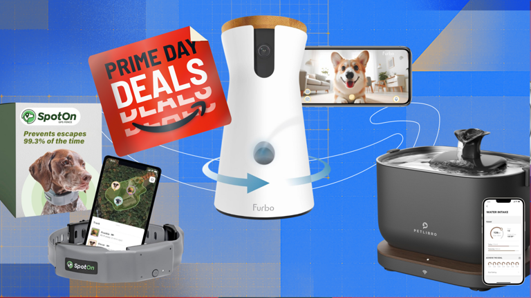 Go Fetch These Prime Day Pet Deals for Your Fur Baby Before They Disappear