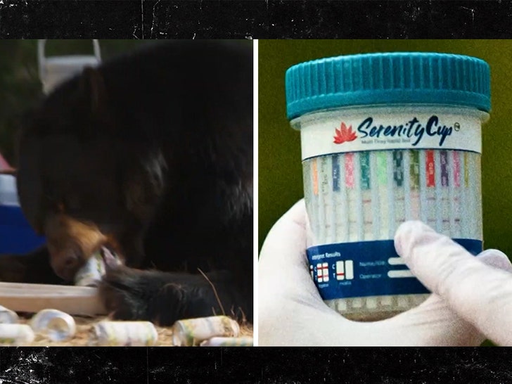 'Animals on Drugs' Trailer Shows Gators on Meth, Bears Drinking Beers