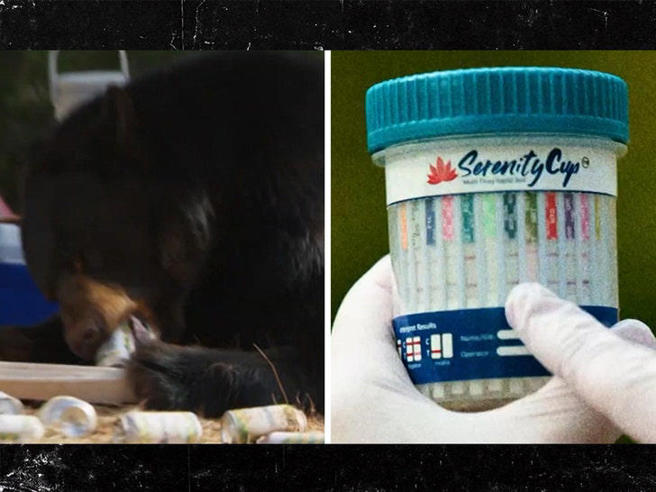 'Animals on Drugs' Trailer Shows Gators on Meth, Bears Drinking Beers