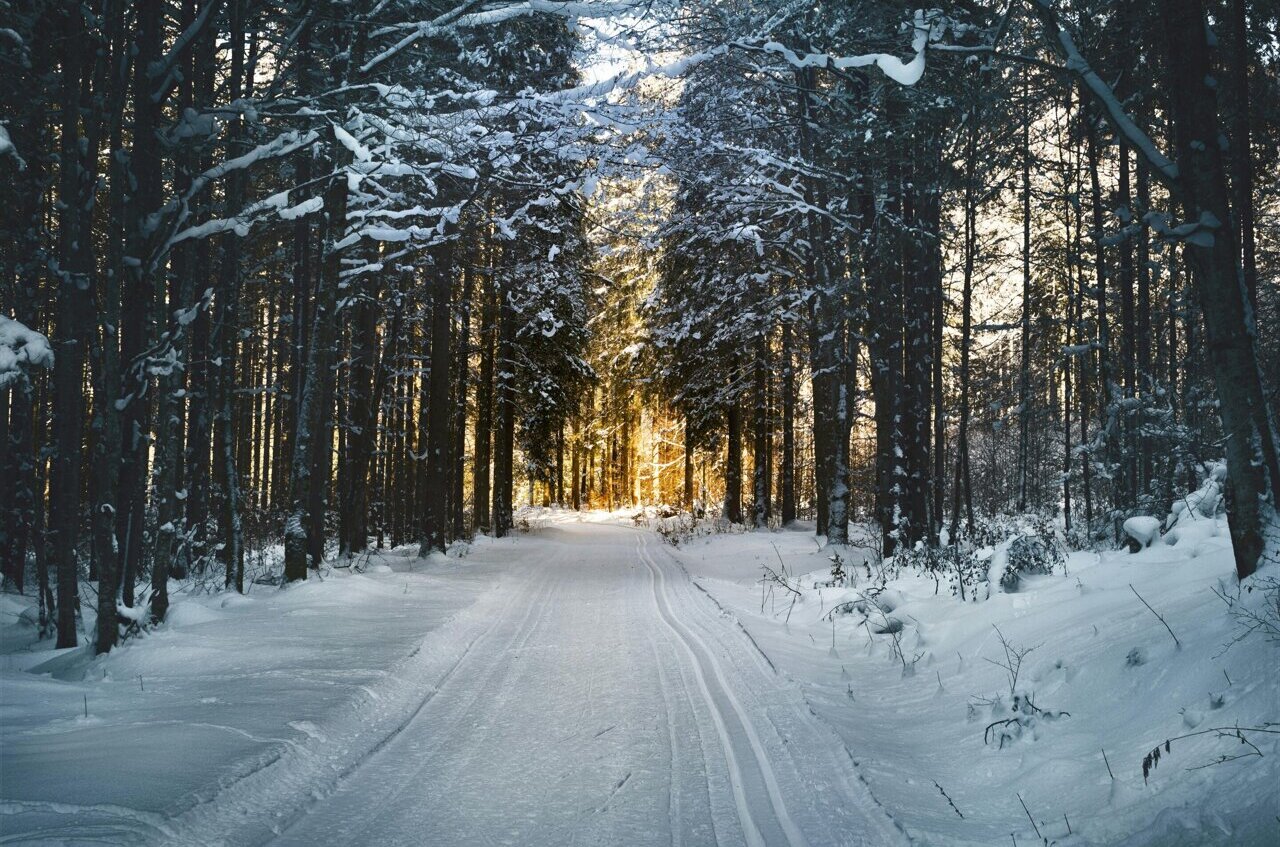 Winter's natural wonders: Seven tips to entice you outside and dose ...