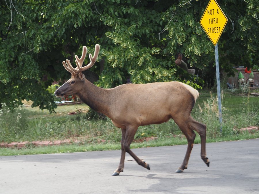 CPW shares roadways where Colorado drivers are most likely to crash ...