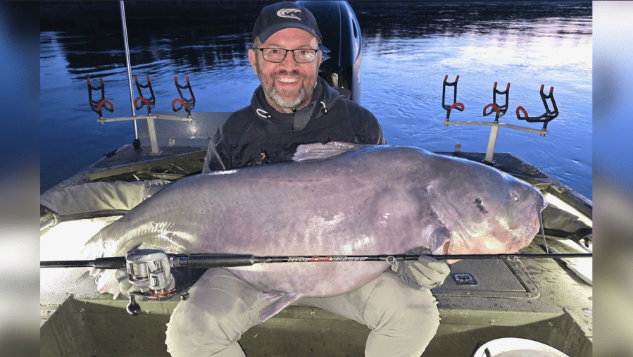 ‘This is a true giant’: Man breaks Kansas blue catfish record with 121 ...