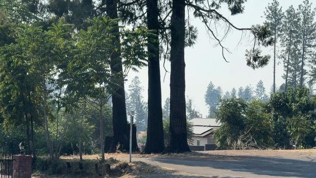 Butte County issues advisory as smoke from Shasta County's Green Fire ...