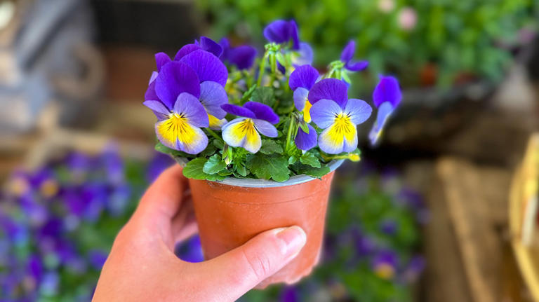 Add Style To Your Ordinary Planters By Repurposing Old Marbles