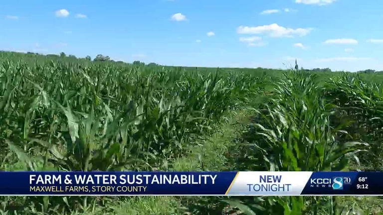 Iowa farmers highlight ongoing and evolving conservation efforts to ...