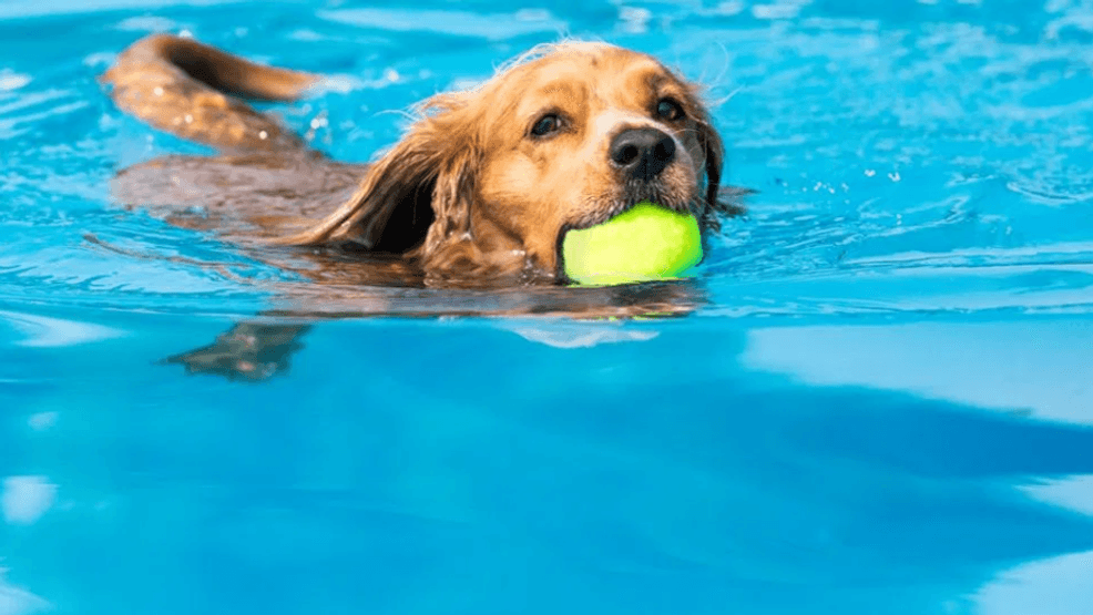 Reno residents urged to stay cool and hydrated during multi-day heat ...