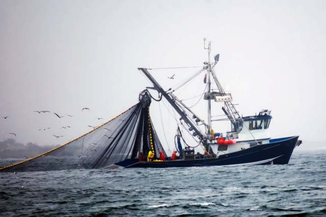Officials issue sweeping ban of common fishing practice over its ...