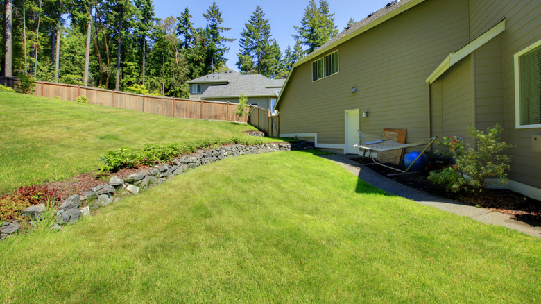 Add A Pop Of Color To Your Sloped Yard With A Beautiful Pink Ground Cover