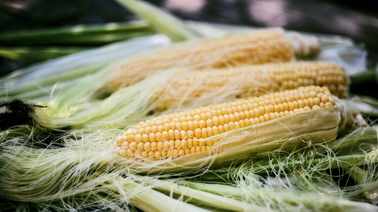 14 Tips For Shucking Corn Fast And Easily