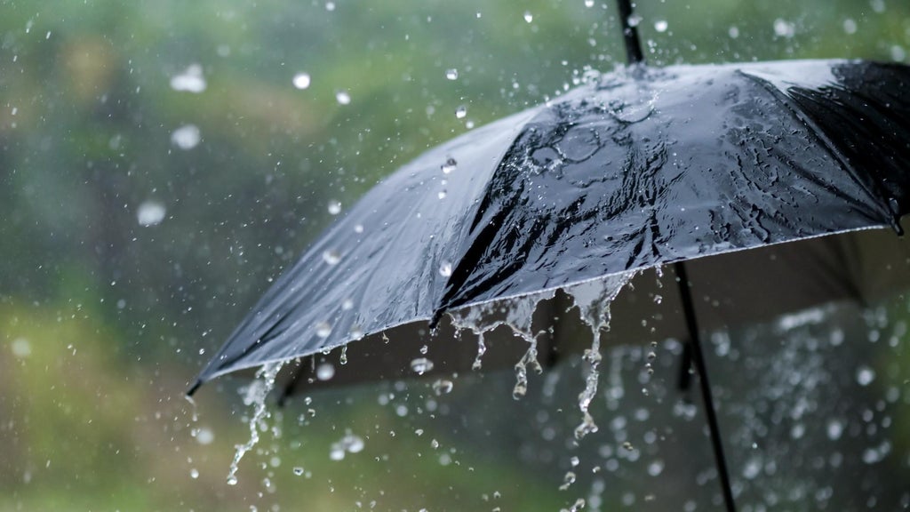 Cold weather system brings widespread rain to Northern California, snow ...