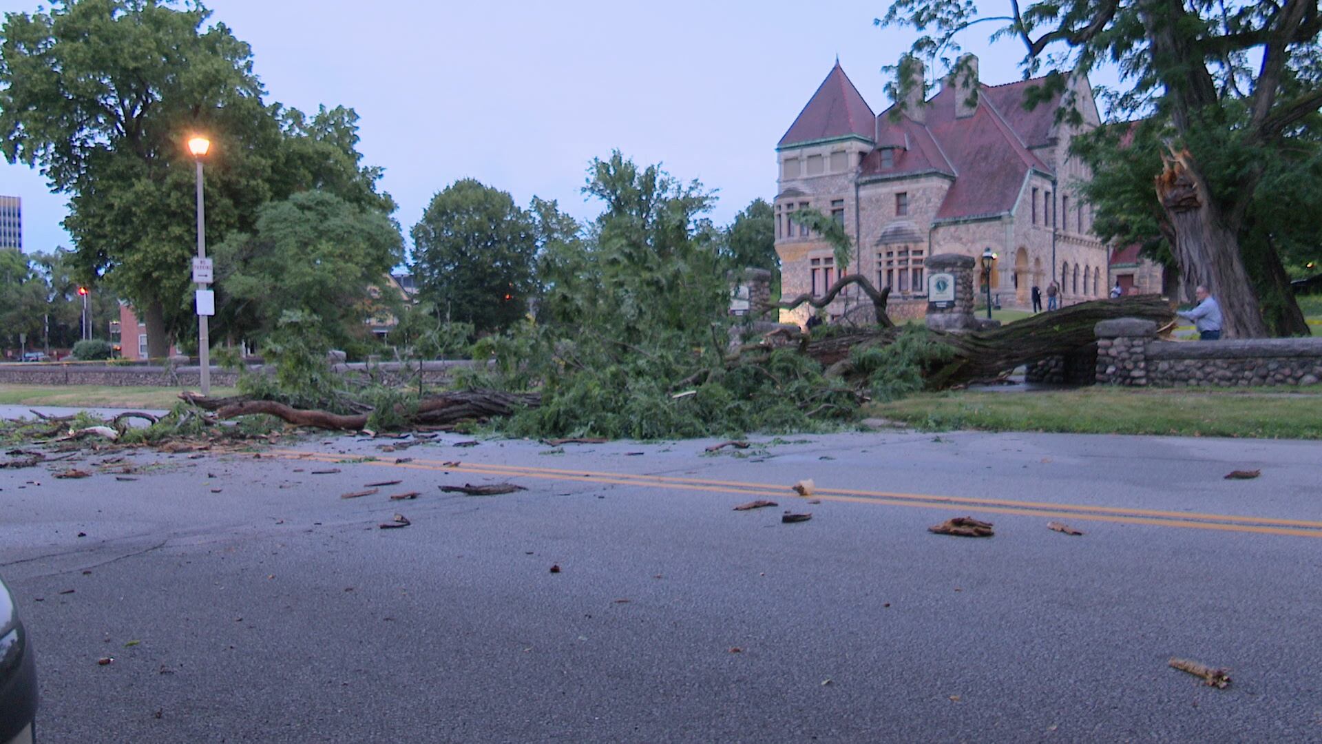 Death of man hit by fallen tree limb in South Bend ruled accidental ...