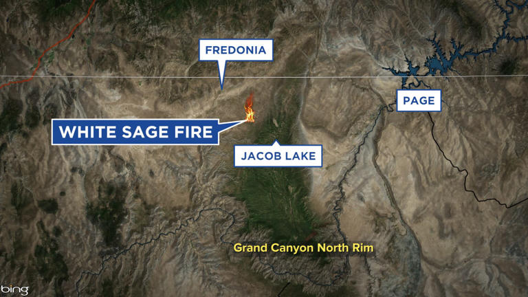 Crews gain 95% containment as White Sage Fire scorches 58K acres near ...