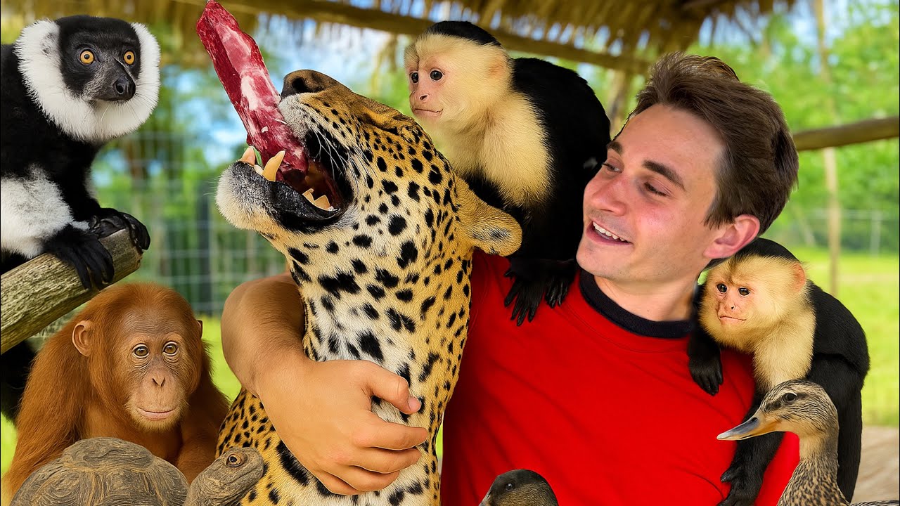 I’m feeding exotic animals you rarely see!