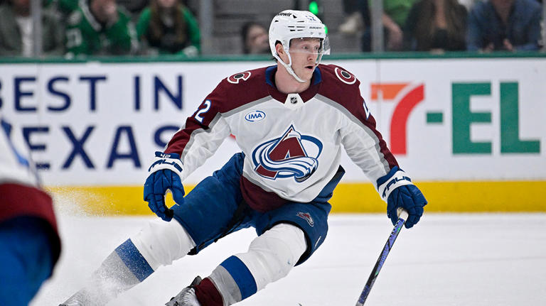 Avalanche social team drops Josh Manson puppy photos amid 'dirty player ...