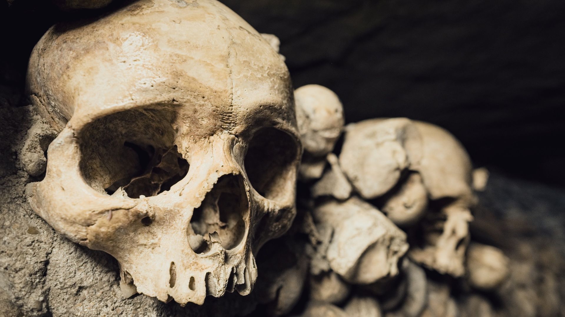 Earliest evidence of humans catching disease from animals dates to ...