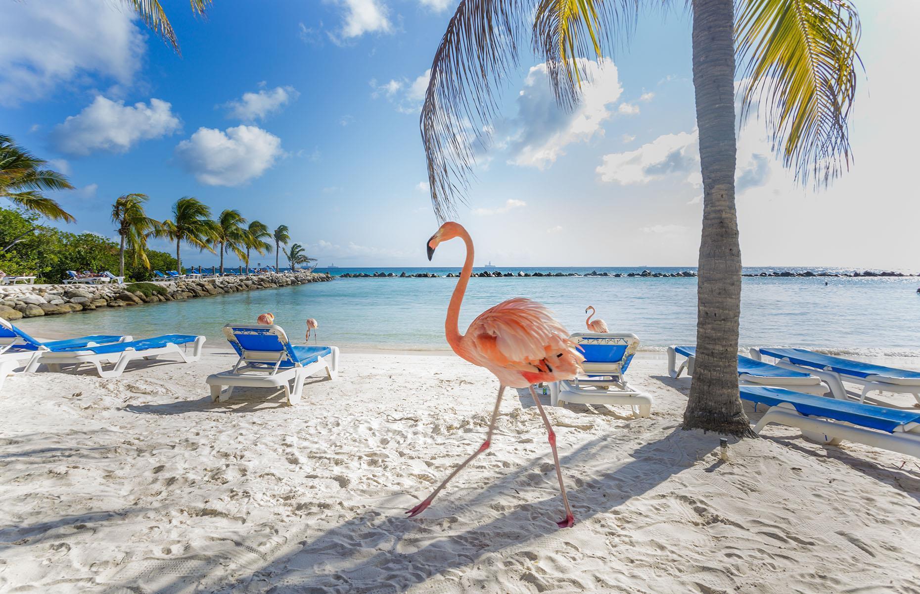 The world's best beaches to see in your lifetime, ranked